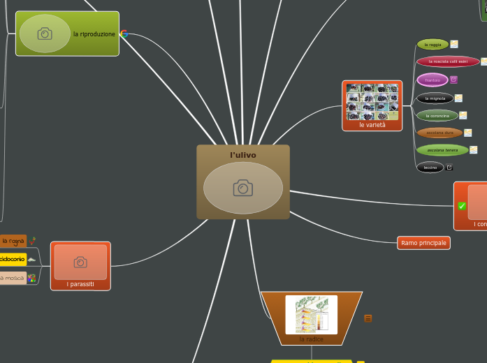 l'ulivo - Adimen Mapa